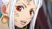 One Piece - Episode 1024 - MyAnimeList.net