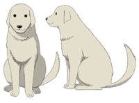 Crunchyroll - Tadakichi-san - Overview, Reviews, Cast, and List of ...