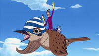 One Piece - Episode 212 - MyAnimeList.net