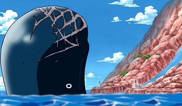 Crunchyroll - 6 One Piece Animals That Are More Interesting Than Most ...
