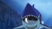 One Piece - Episode 708 - MyAnimeList.net